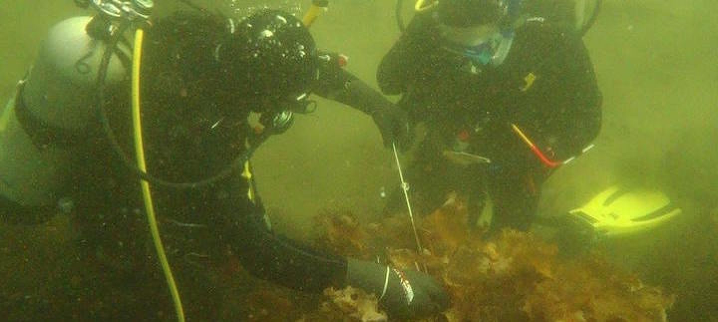 Irving Shipbuilding Helps Sustain Marine Life through Atlantic Reef ...